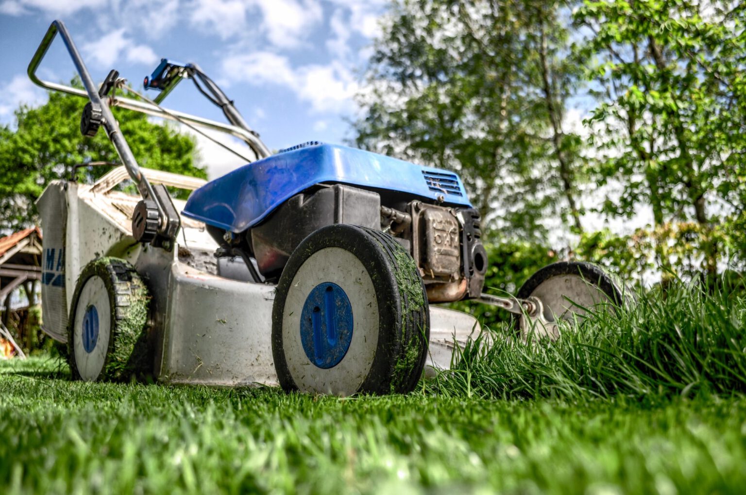 Early Spring Lawn Care Tips For Your Maryland Home - Scientific Plant ...