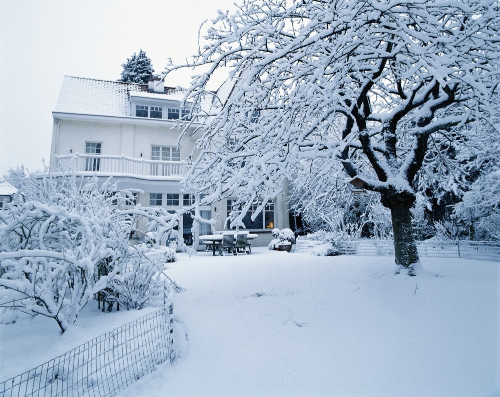The Surprising Benefits of Snow On Your Landscape - Scientific Plant ...