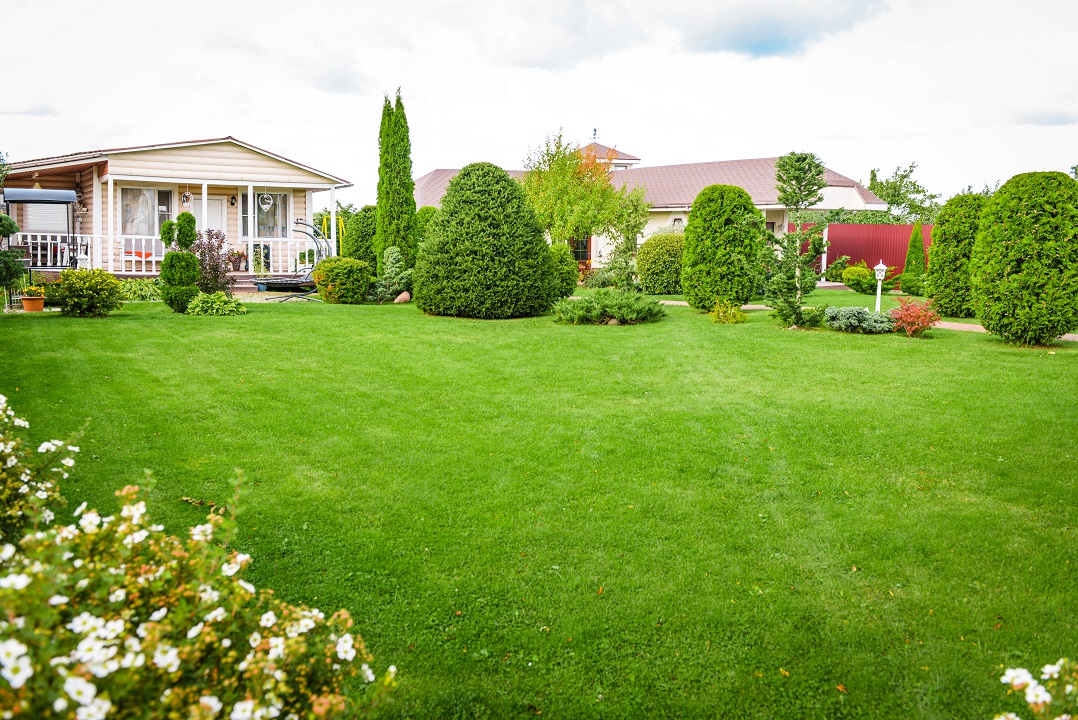 Your Dedicated Lawn Care Service in Elkridge | Scientific Plant Service