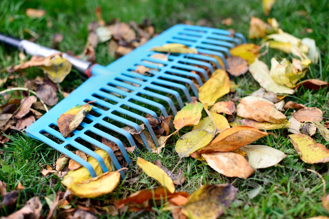 Transitioning Your Landscape Into Autumn: Top Tips